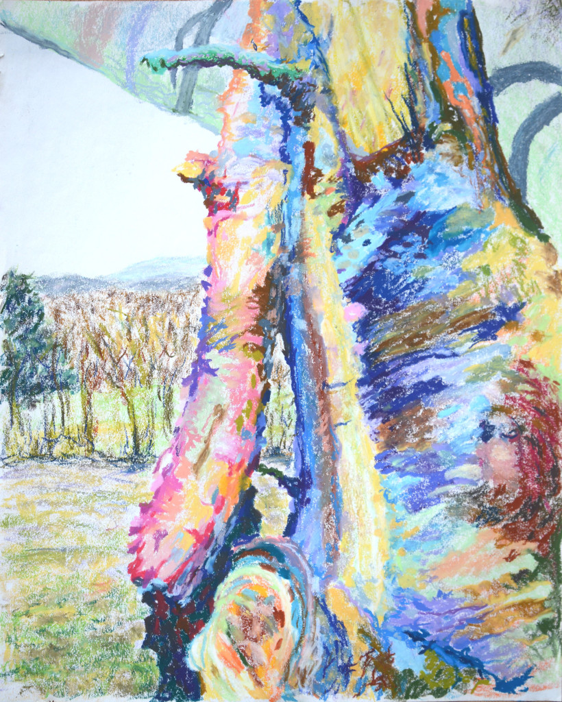 OAK AND FIELD - John Napoli Fine Art